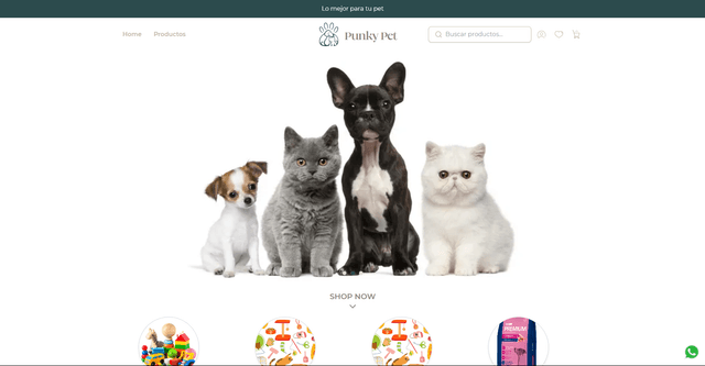 Joaquin Martinez – Full Stack Developer